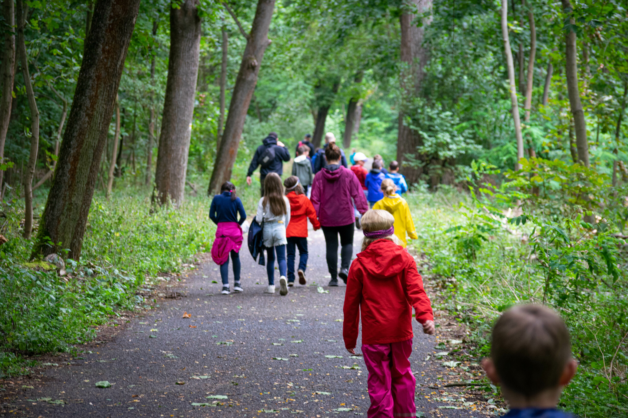 Willkommen bei der Berlin Cosmopolitan School - Startseite